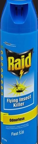 Raid One Shot Odourless Flying Insect Killer 320g – Limitless ...